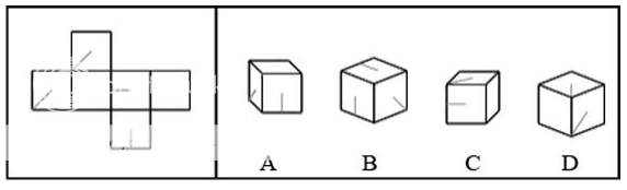 Cube pattern folding questions | Student Doctor Network